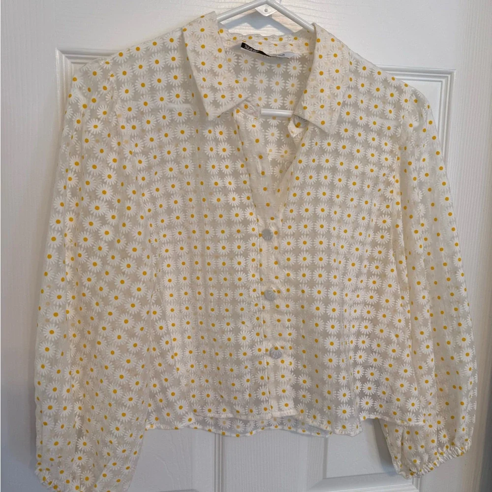 Zara | Tops | Sheer Cropped Zara Blouse | Poshmark